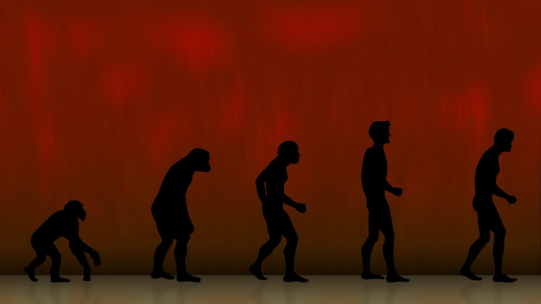 Creation of Adam in the Qur’an: 7 Shocking Scientific Facts Backed by ...