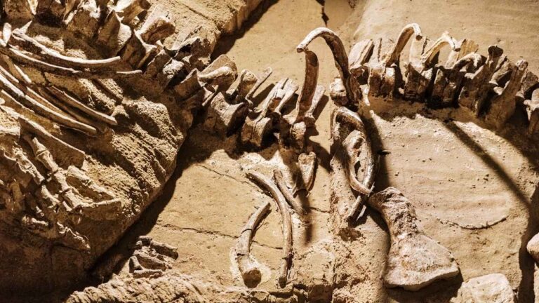 Creation of Adam in the Qur’an: 7 Shocking Scientific Facts Backed by ...