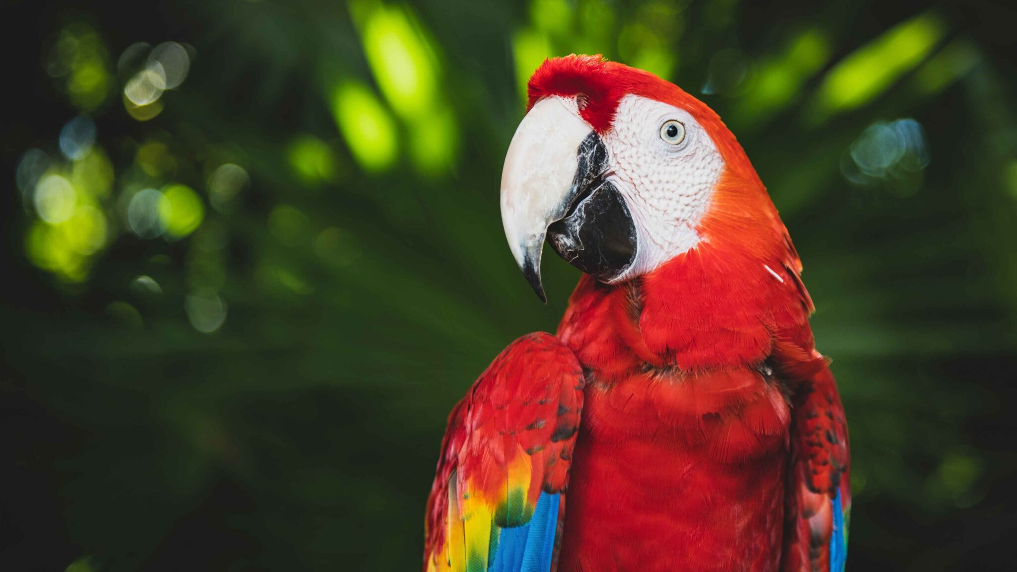 Powerful Insights on 23+ Animals in the Qur’an and Science Revealed ...